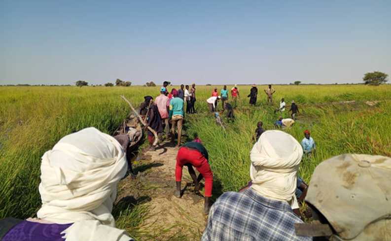 Bulletin de surveillance multisectorielle sur les régions de Tombouctou ...